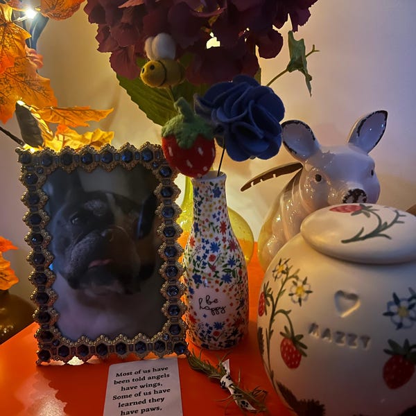 Strawberries Cat Urn, Wild Strawberries Dog Urn for Animals, Floral - Etsy