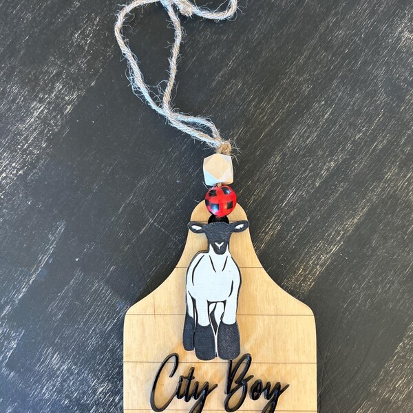 FFA Pig Stall Sign, Stall Name Tag, FFA Stall Animal Sign, Animal Name ...