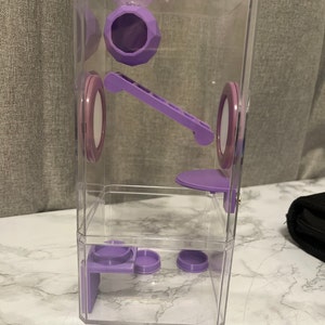 Magnetic Jumping Spider Mantis Staircase - Etsy