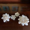 Fusion Flowers East Meets West Seashell Rose Handmade With Indo-pacific ...
