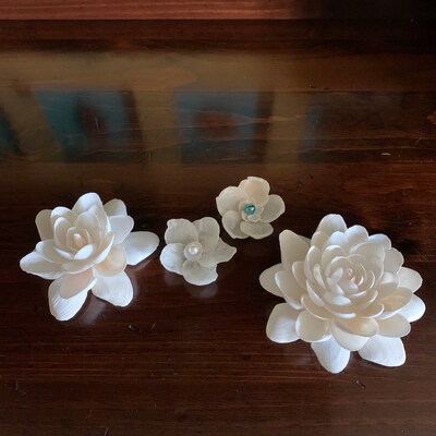Lily Seashell 'dried' Forever Flower Handmade With Natural Florida ...