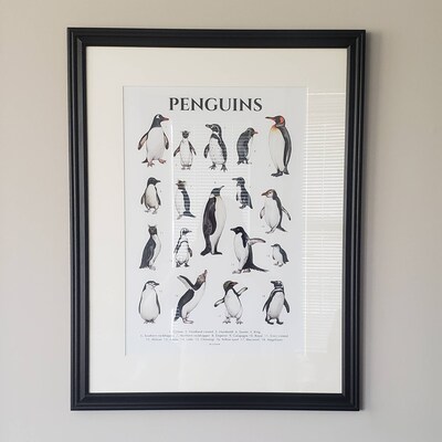 Penguins Poster, Penguin Species, Antarctica Animals Art, Watercolor ...
