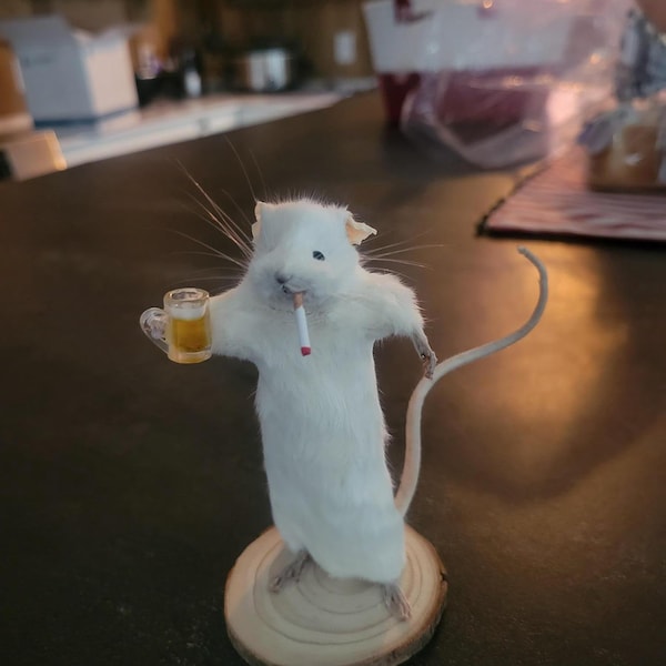 Taxidermy Smoking Drinking Beer Drunk Mouse Funny Gift for Him Her - Etsy