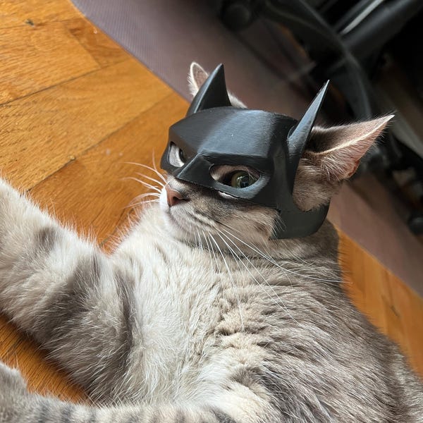 Viking Cat Helmet [digital STL Download] - Etsy