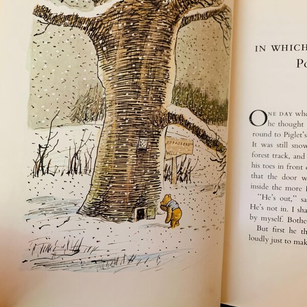 The Story of Peter Rabbit, Board Book, Beatrix Potter, Illustrated by ...