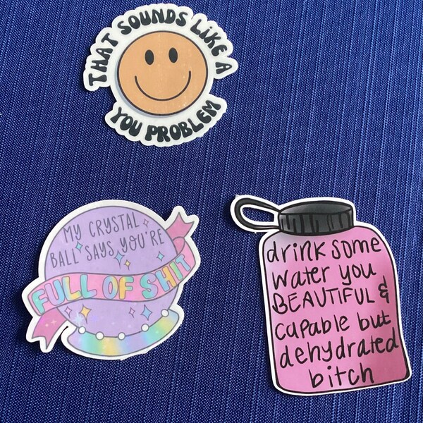 That Sounds Like A You Problem Inappropriate Vinyl Stickers Waterproof ...