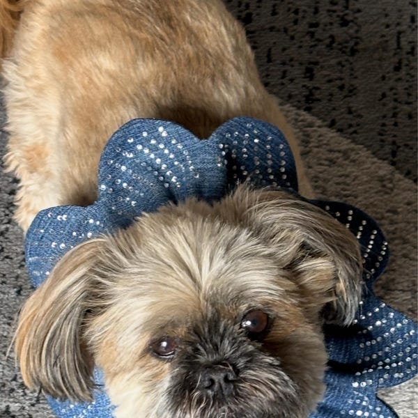 Dog Bandana PDF Sewing Pattern - Unique Flower Power Elasticated Dog ...
