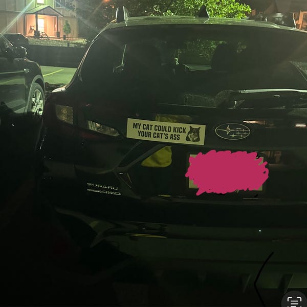 Wizard Bumper Sticker Funny, Cute Car Sticker Decals, Cursed Bumper ...