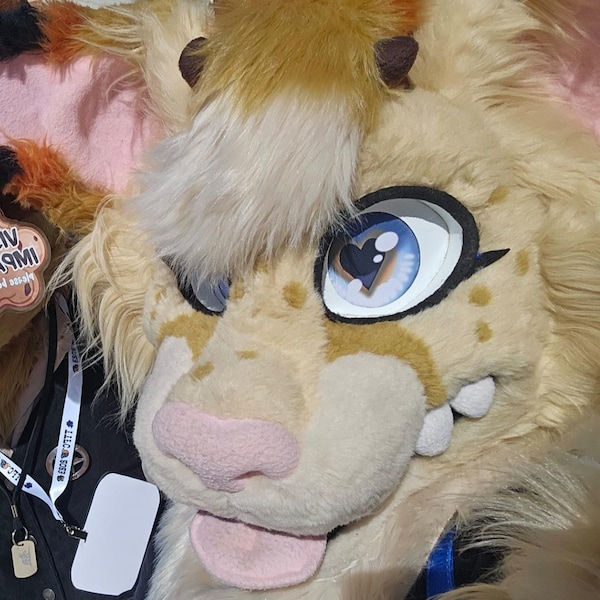 Custom Fursuit Eye Mesh: Durable, Waterproof, Scratch Proof - Etsy