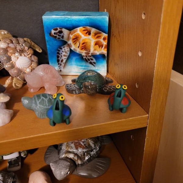 Panic Turtle! - Etsy