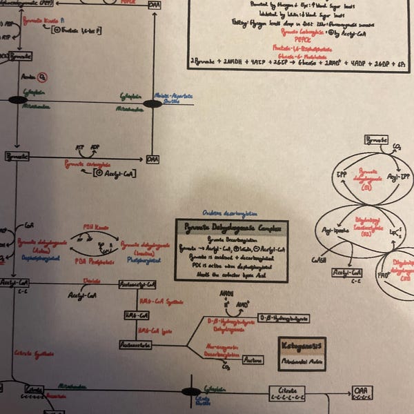 Complete MCAT & Biochem Metabolic Pathway Review Notes - Etsy