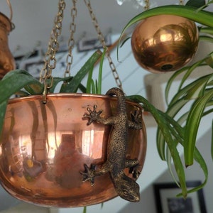 Peter Rabbit Pot Buddy Pot Hanger Beatrix Potter Gift - Etsy