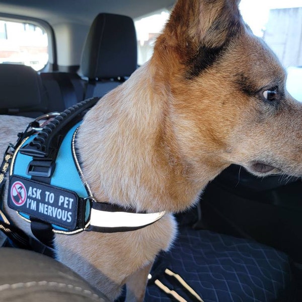 Nervous Dog Patch | Ask to Pet Patch | Dog Vest Patches | Hook Fastener ...