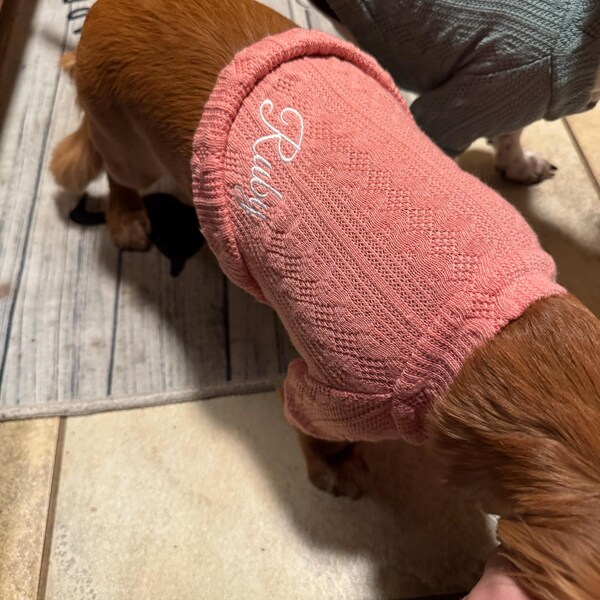 Personalized Dog Sweater Embroidered Puppy Shirt With Pet Name Xs ...