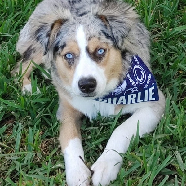 Penn State Dog Bandana: Personalized PSU Design - Etsy