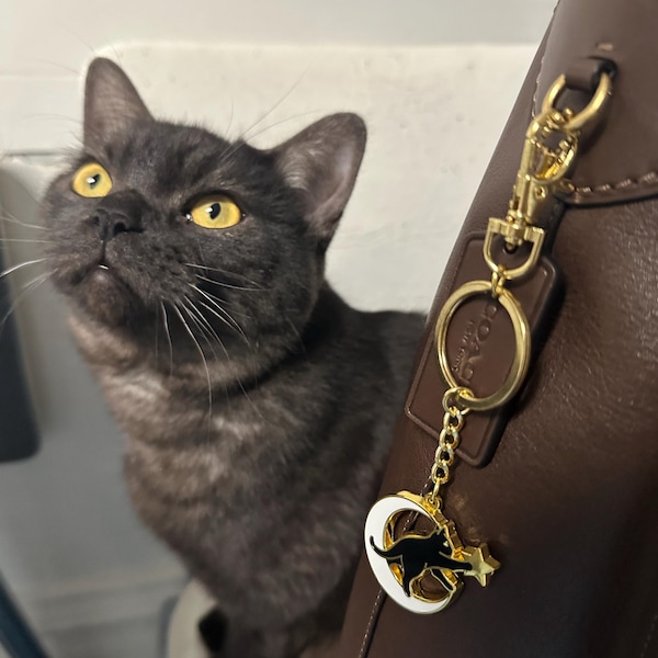 Cat on the Moon Keychain- Cat Playing With Star- Reach for the Stars ...