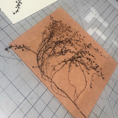 Unusual Gift 5 Sprouting Seed Faces Plantable Paper With Edible Sprouts ...