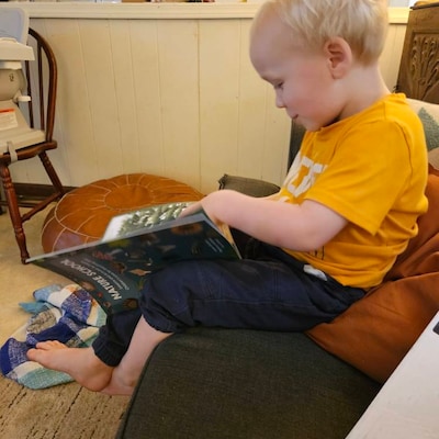 Cat Unit Study - Etsy