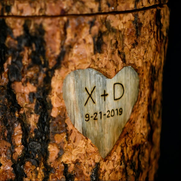 Rustic Woodsy Pine Log Pillar Candle 7" Tall for Tea Lights ...