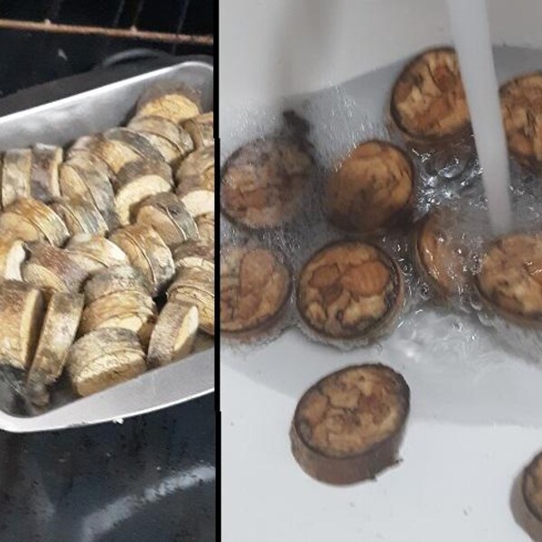 Dried Crepe Myrtle Seed Pods in Assorted Sizes, Natural Dried Mini ...