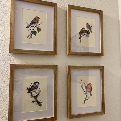 Bird Print Set of 4,garden Bird Print Set,mini Bird Art Print,5x7 Print ...