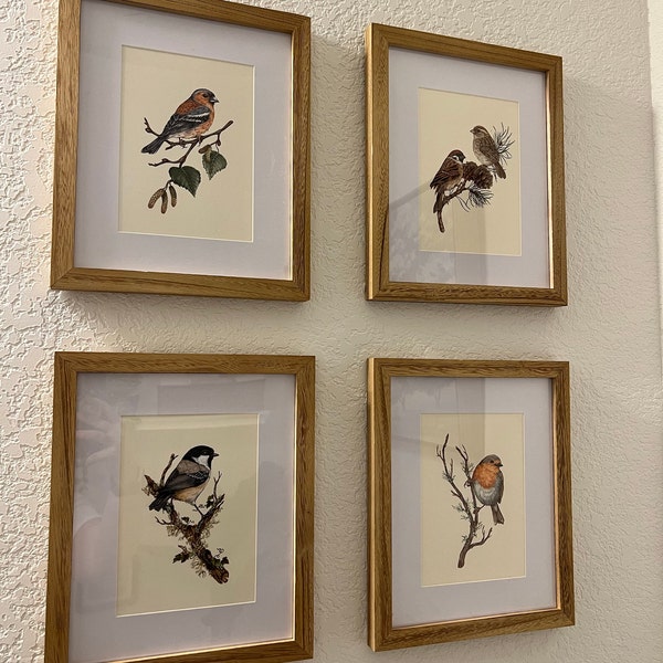 Bird Print Set of 4,garden Bird Print Set,mini Bird Art Print,5x7 Print ...