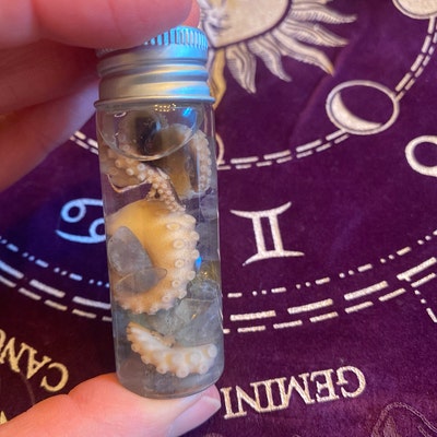 Glass Jar Wet Specimen Octopus Tentacles With or With Out Crystals ...
