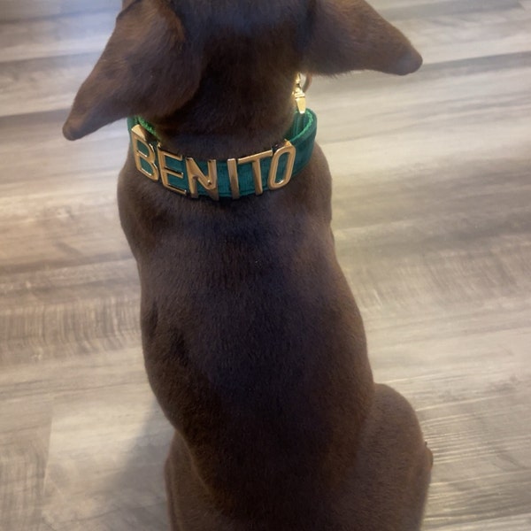 Personalized Dog Collars With Metal Letter Name, Female Dog Collars ...