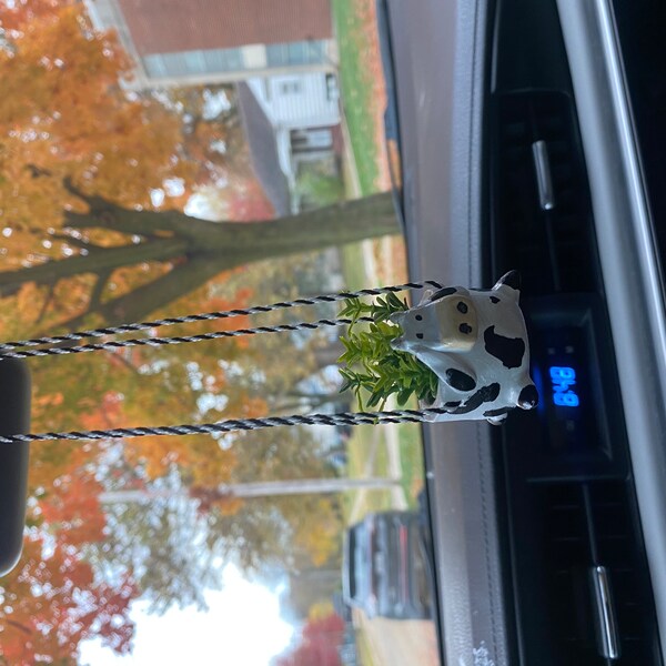 Cow Rear View Mirror Mini Planter Small Pot With Faux Plant for Car ...