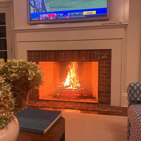 Lift off Dome Fire Pit Safety Screen 304 Stainless Mesh Steel, Round ...