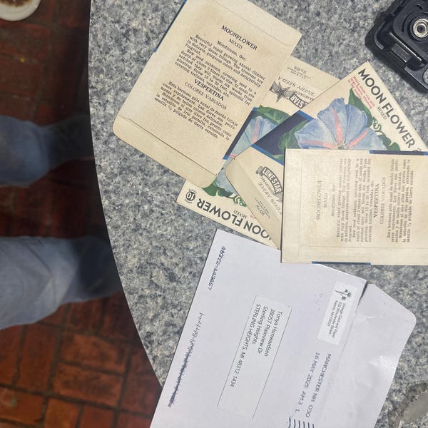 Banana Curls Little Girl Roses & Butterflies Vintage 1940s Elizabeth ...