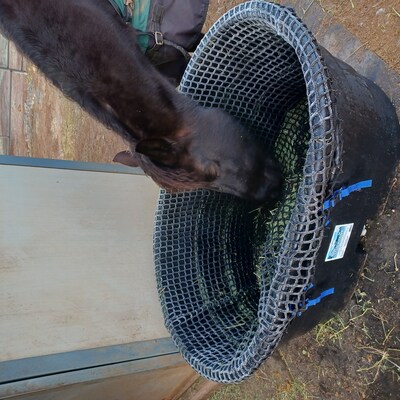 Slow Feed Hay Net for Over Your Hay Basket , Saves Your Hay. Easy Fill ...