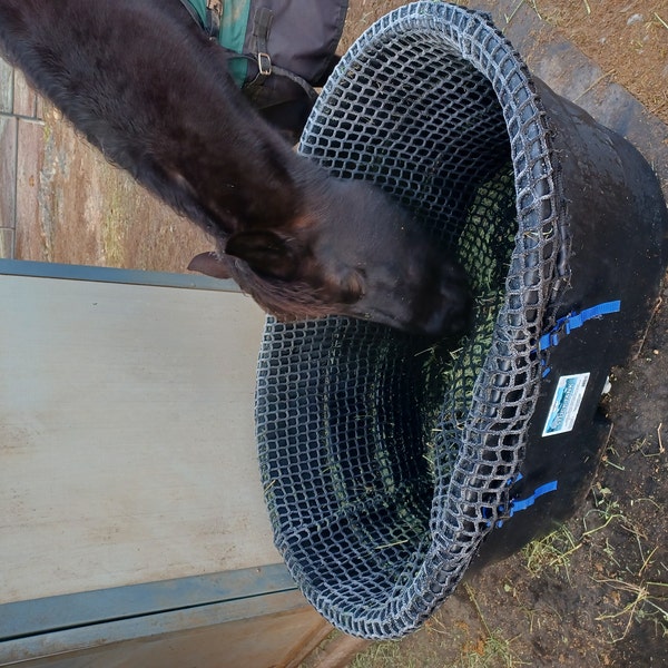 Quick Change Woven Slow Feed Hay Net System (hay Hut/bonnet NOT ...