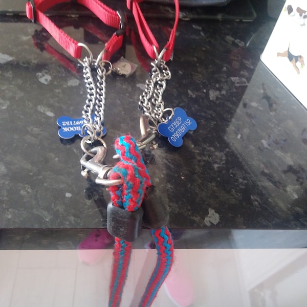 Quality Engraved Dog Tag, Pet ID Tags, Free Personalised Engraving ...