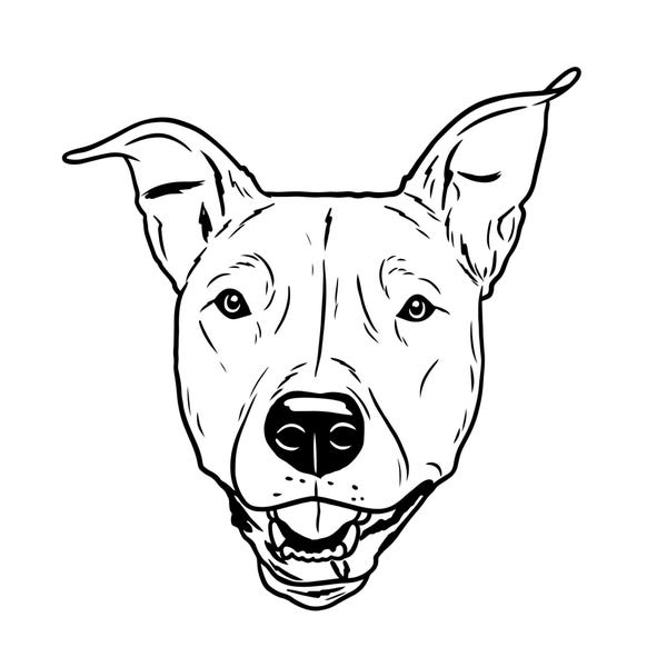 Pitbull Head SVG File: Line Art Clipart for Cricut (digital Download ...