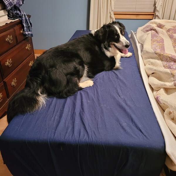 12" Dog Bed Mattress Extender Kit - Dog Bed Extension of Human Mattress ...