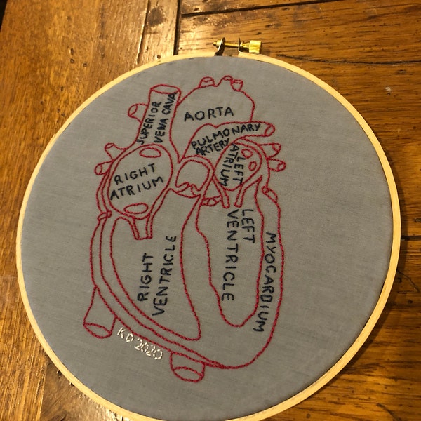 DIY Heart Anatomy Embroidery Pattern, Heart Embroidery, Anatomical ...