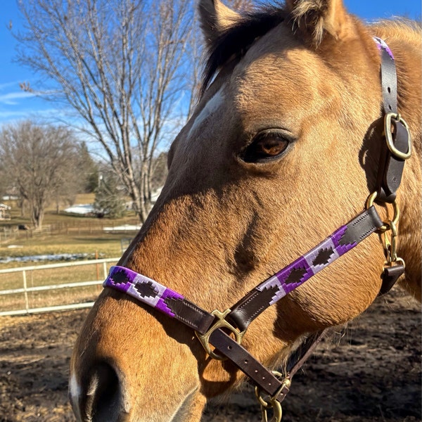 Anatomical Padded Leather Halter - Etsy