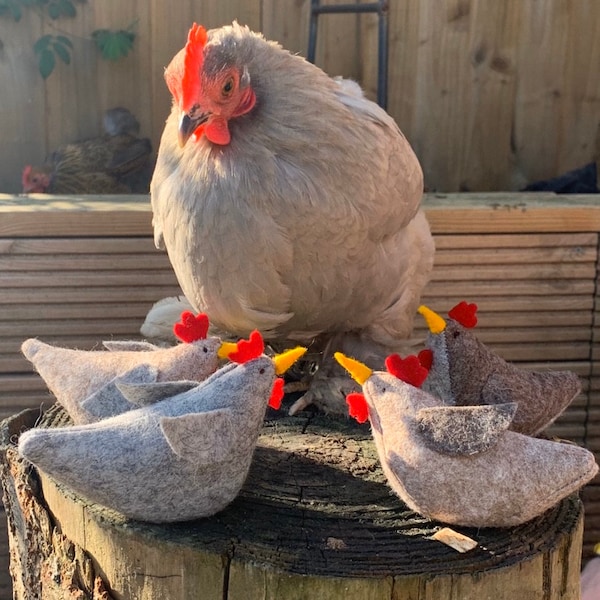 Wool Hen Sewing Pattern, Felt Plush Ornament (PDF Pattern) - Etsy
