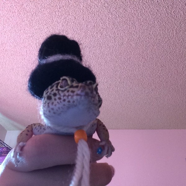 Leopard Gecko (and Other Lizard) Hats - Etsy