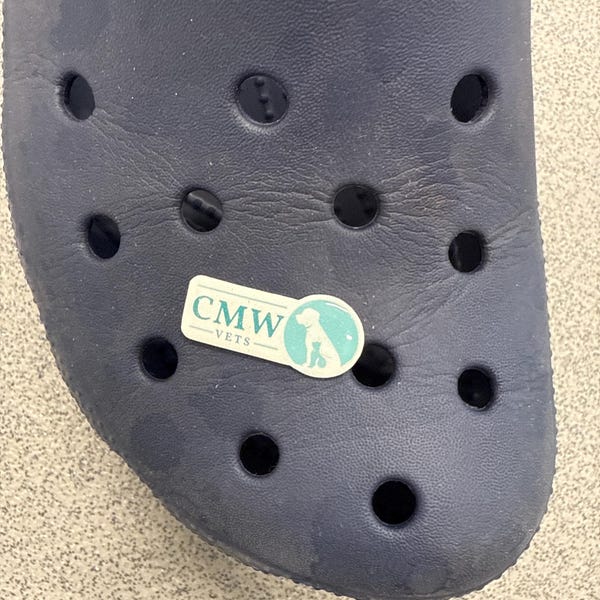 Eastenders Dot Cotton Shoe/clog Charm, Cute Accessory, Custom Clog ...