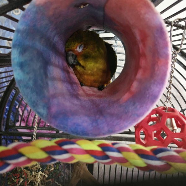 Wooden Spool Bird Toy Part Making DIY Parrot Toy Bird Cage Accessory ...