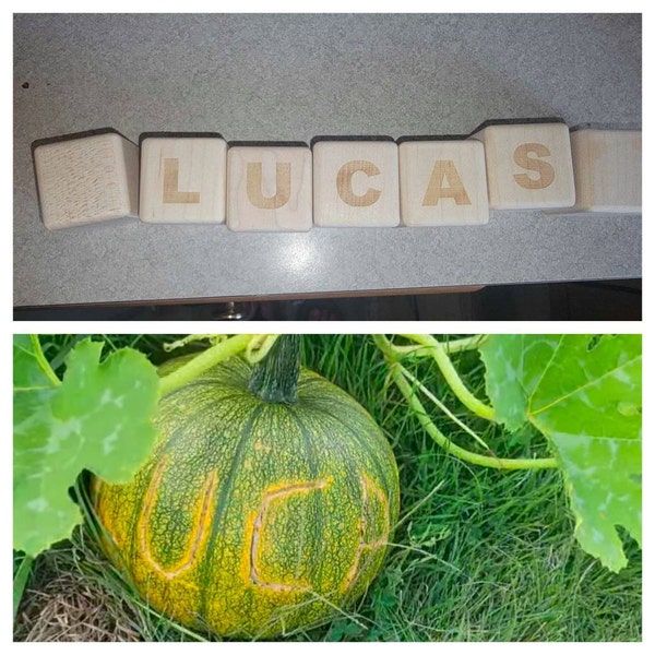 12 Pc ASL Number Blocks With Braille | American Sign Language Blocks ...