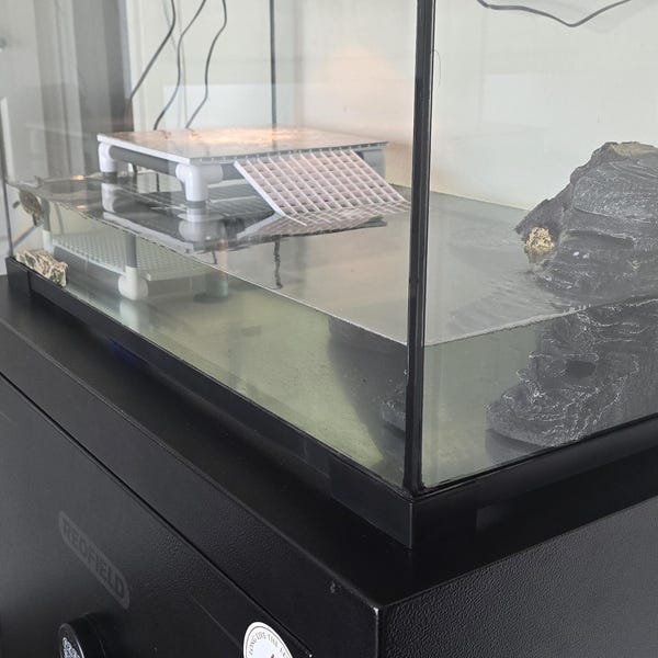Tank Topper Turtle Dock! Sits on Top of Your Aquarium and Fits 12-13 ...