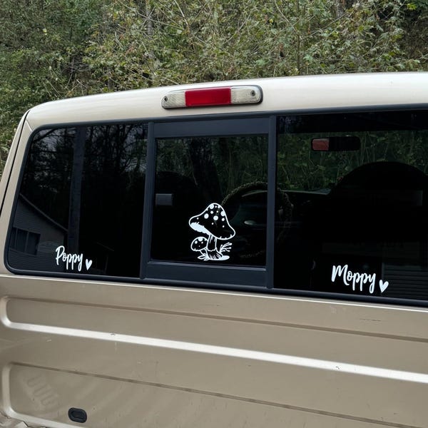 Passenger Princess Door Frame Custom Decal - Etsy