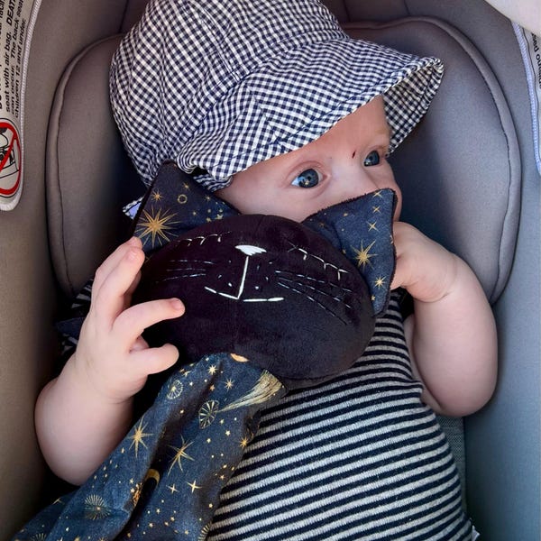 Dinosaur Comforter Pattern, Baby Lovey Pattern Tutorial, Dino Sewing ...