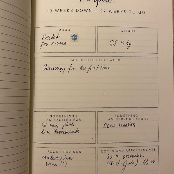 Pregnancy Journal - US, Linen Pregnancy Planner, Pregnancy Diary ...