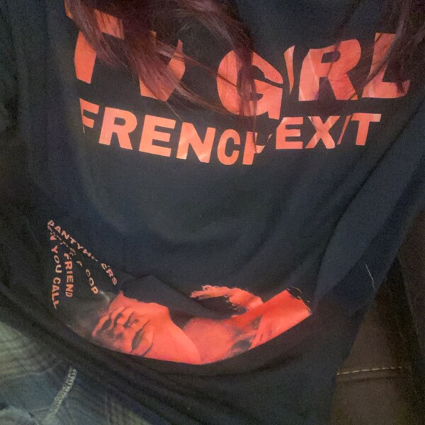 TV Girl Unisex T-shirt - French Exit Album Tee - Music Band Graphic ...