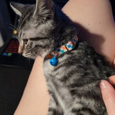 Retro Checkered Cat Collar With Bell, Colorful Male Cat Breakaway ...