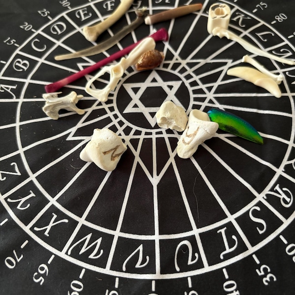 Rare! Black Rooster Bone Set for Divination - Throwing Bones - Bones ...